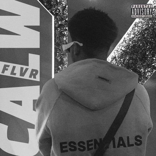 Stream FLVR | Listen to CAME A LONG WAY: THE TAPE playlist online for ...