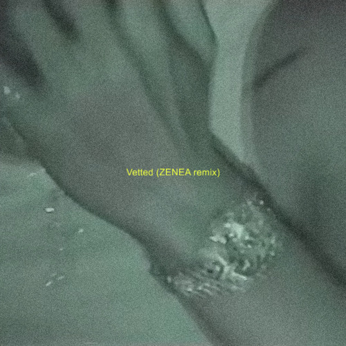 Stream Lithe - Vetted (ZENEA REMIX) (FREE DL) by ZENEA | Listen online ...