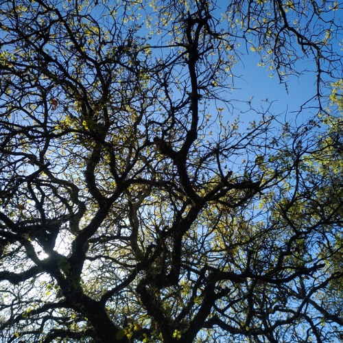 Stream 4 Wave by Ke -ScHpiTZ (Moshe Elad) | Listen online for free on ...