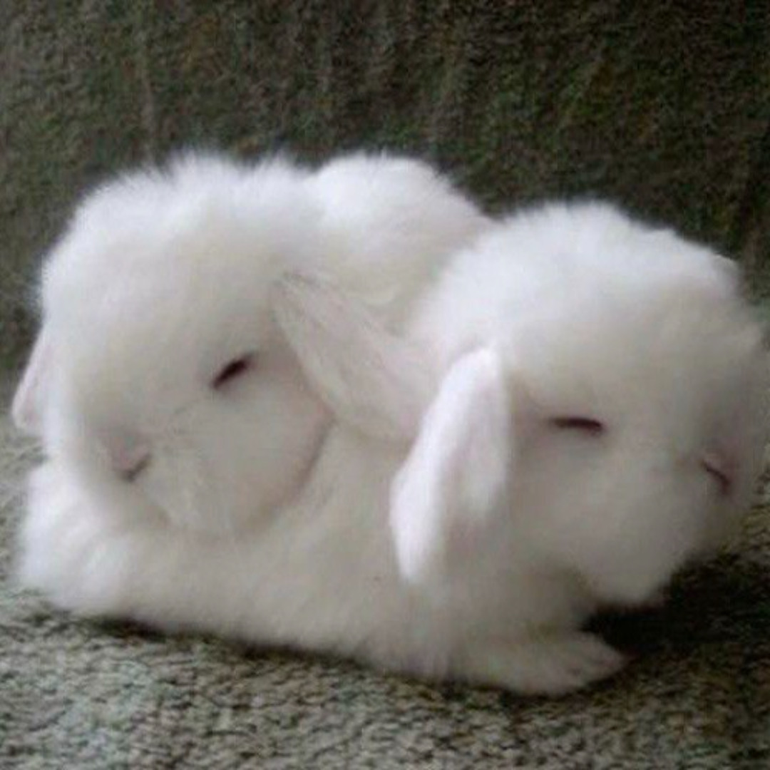 Stream grudb + kurgun (p/ fumiko!) by whoisnewell | Listen online for ...