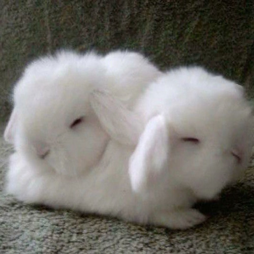 Stream grudb + kurgun (p/ fumiko!) by whoisnewell | Listen online for ...