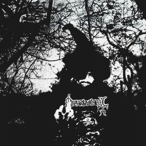 Stream norokerkeet | Listen to grausamkeit - stardust intro & something ...