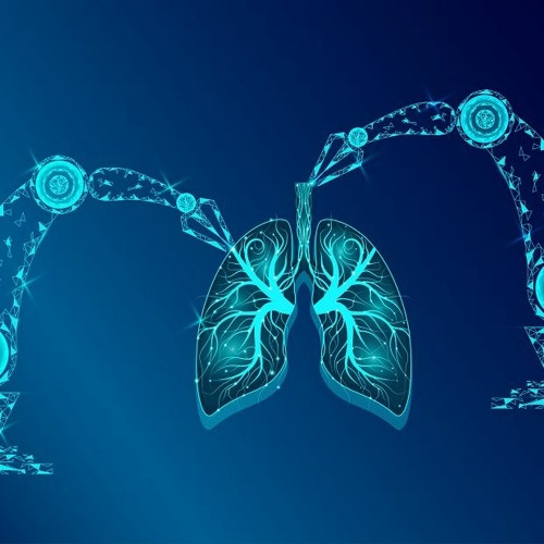 Stream KU Radio Science - Bioartificial Organs with Dr. Peter Corridon ...