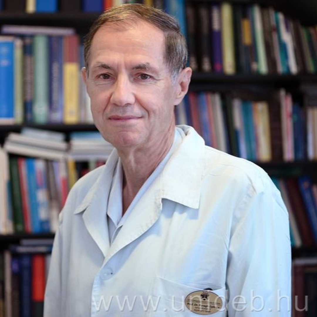 Stream Magas koleszterin - a néma gyilkos by fm90campus | Listen online ...