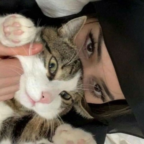 Stream [FREE FOR PROFIT] 1nonly x lilbubblegum x shady moon TYPE BEAT ...