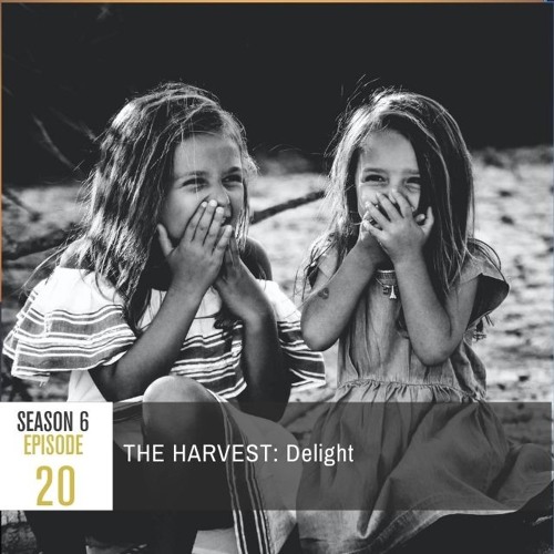 Stream Season 6 Episode 20 - HARVEST: Delight by Paying Ridiculous ...
