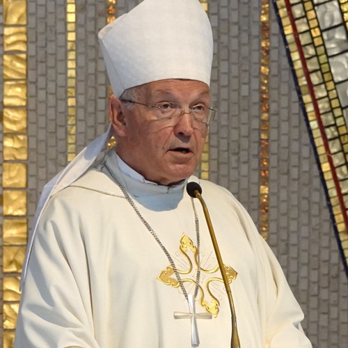 Stream Prisluhni pridigi med pogrebno sveto mašo za pokojno s. Cecilijo ...