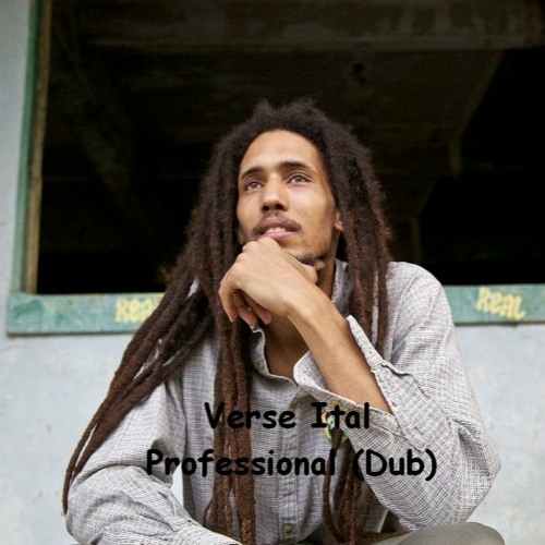 Stream Verse Ital - Professional Dub by Flowin Vibes | Listen online ...