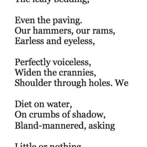 Listen to music albums featuring 495 Mushrooms by Sylvia Plath, read by ...