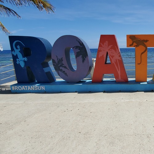 Stream DJ GAZA Dancehall Mix 2020 by DJ GAZA | Listen online for free ...