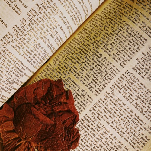 Stream Casa Nueva ft. The Great Motherboard poem by Valsa George by ...