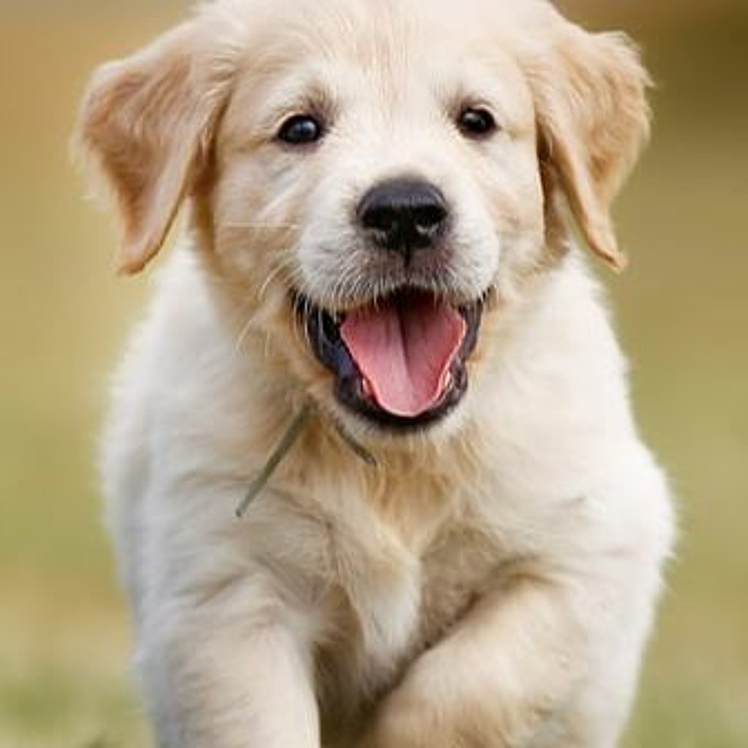 Stream Hello There (feat Lil Tracy & Corbin & Black Kray) by heart ...