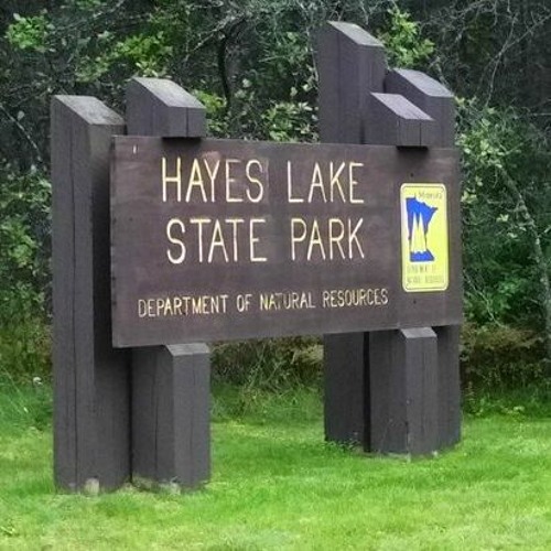 Stream AL LARSEN/ HAYES LAKE STATE PARK by WiLD 102 Radio | Listen ...