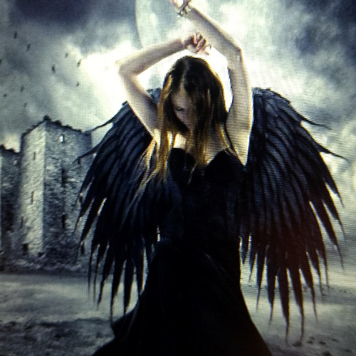 Stream Mollys ride by Darin Howard | Listen online for free on SoundCloud