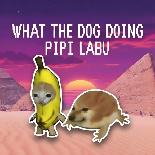 Stream WHAT THE DOG DOING x PIPI LABU FUNK by NZXT | Listen online for ...
