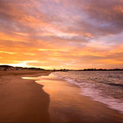 Stream ♡ ℙ𝕒𝕝𝕞 𝕥𝕣𝕖𝕖 𝕡𝕒𝕟𝕚𝕔 - 𝕄𝕖𝕞𝕖 𝕤𝕠𝕟𝕘♡ by nick | Listen online for free ...