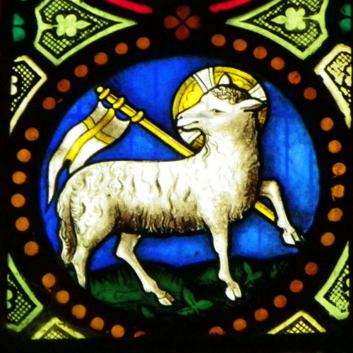 Stream Behold the Lamb! (w/ Mr. Billy McCormick) by Good Shepherd ...