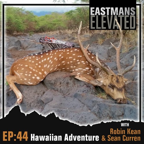 Stream episode Episode 44: Hawaiian adventure with Robin Kean and Sean ...
