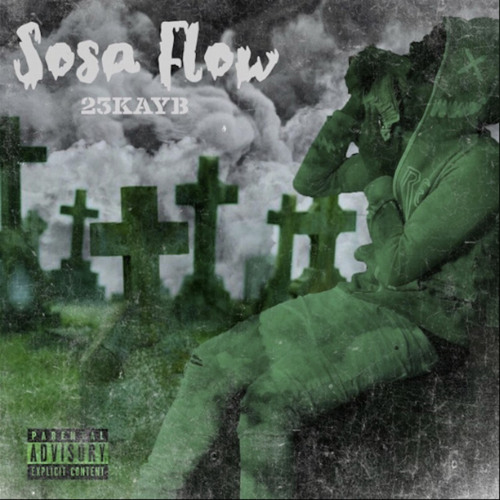 Stream Sosa Flow by 23kayb | Listen online for free on SoundCloud