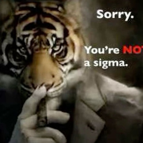 Stream *DJ GOONER EXCLUSIVE* lil baljeet-SHOTTA FLOW 97 FT LIL ROCKET ...