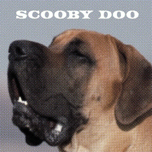 Stream Scooby Doo by Trip Drippy | Listen online for free on SoundCloud