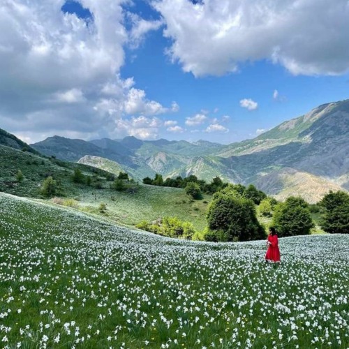 Stream Livadhet E Ketit by ada | Listen online for free on SoundCloud