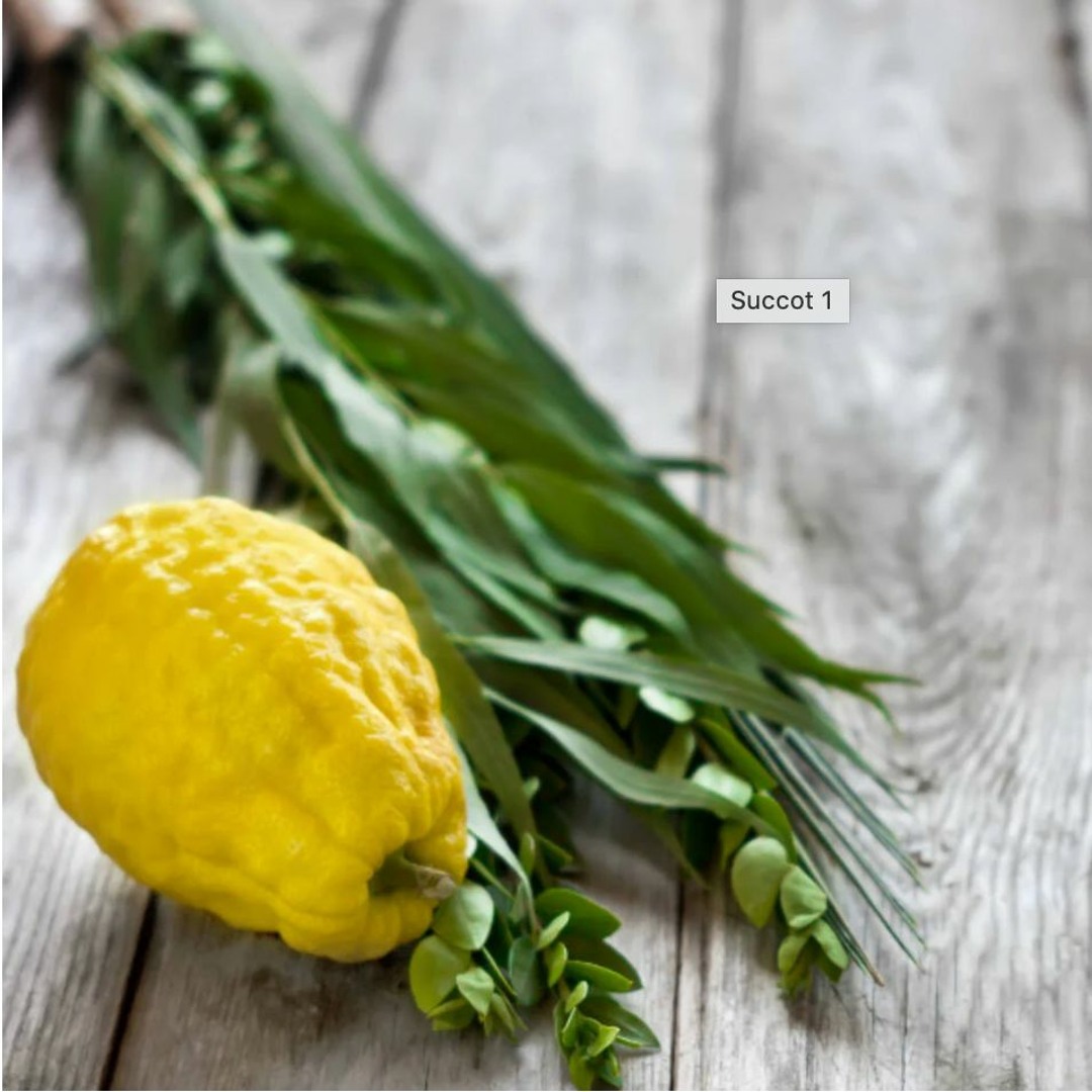 Stream From the Archives: Lessons From Kohelet - A Succot Shiur by ...