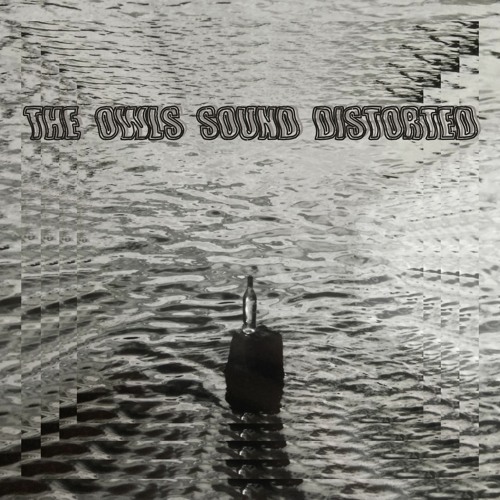 Stream hexe livvy | Listen to the owls sound distorted (demos) playlist ...