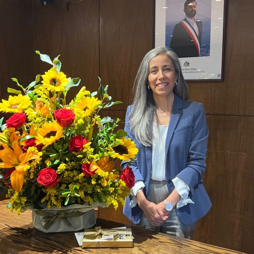 Stream Podcast Pamela Gana by RH Management | Listen online for free on SoundCloud