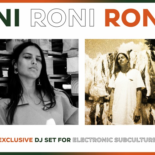 Stream RONI / EXCLUSIVE MIX FOR ELECTRONIC SUBCULTURE by Electronic ...