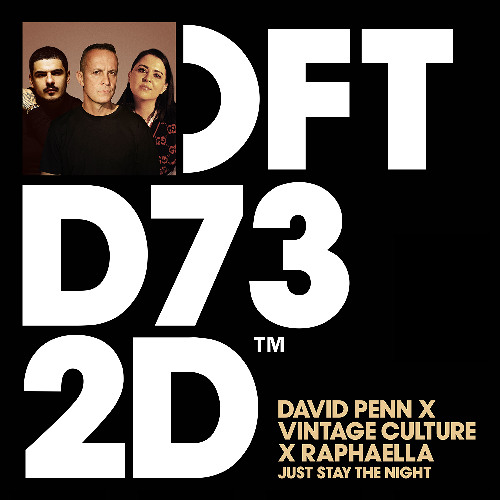 Stream David Penn x Vintage Culture x Raphaella - Just Stay The Night ...