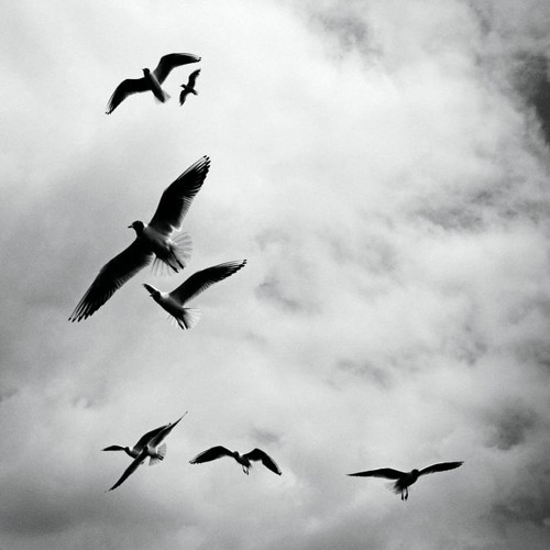 Stream free type beat XXXTentacion & Lil Peep & Juice WRLD - flying ...