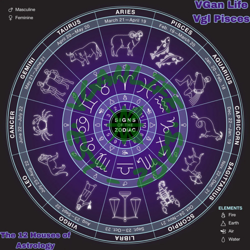 Listen to 9 The Four Elements Preview by Jaden Daron in The 12 Houses ...