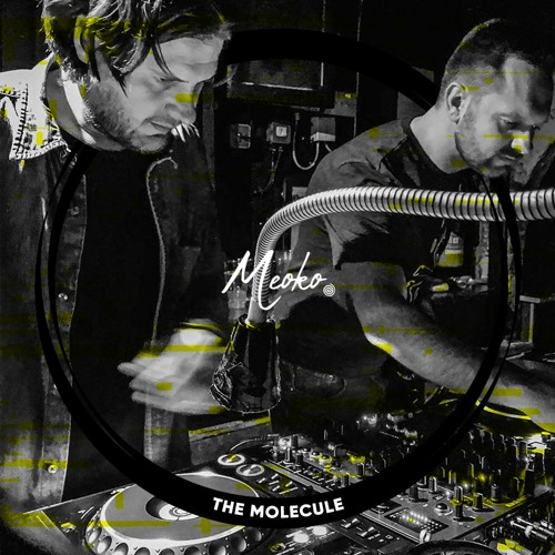 Stream MEOKO Podcast Series | The Molecule (+ interview) by MEOKO ...