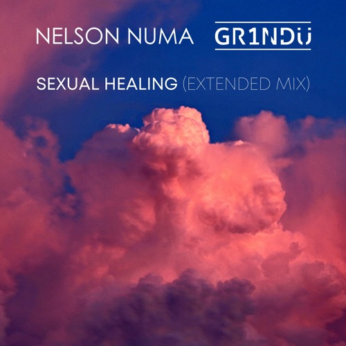 Stream Sexual Healing (feat. Nelson Numa) [Extended Mix] by GR1NDU | Listen online for free on ...