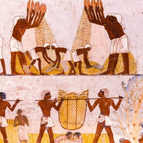 Stream episode Ramses Street: Ancient Egypt in Colonial Australia ...