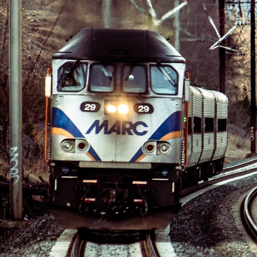 Are Dogs Allowed On Marc Train