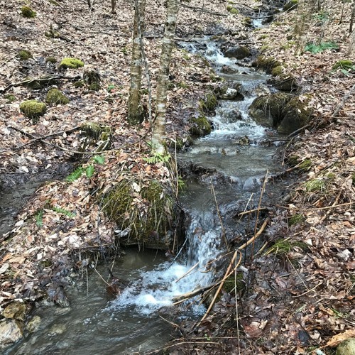 Stream Stream Journey with Tracy Penfield by SafeArt | Listen online ...