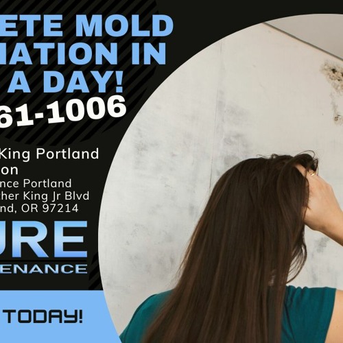 Stream Pure Maintenance Portland | Listen to Mold Removal King Portland ...
