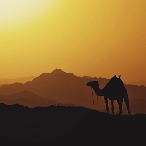 Stream Funk Sinatra | Listen to MIDDLE EASTERN VIBES playlist online ...