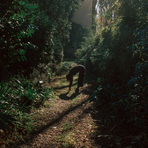Stream los árboles caídos también son el bosque by MAQ | Listen online ... Stream los árboles caídos también son el bosque by MAQ | Listen online ...