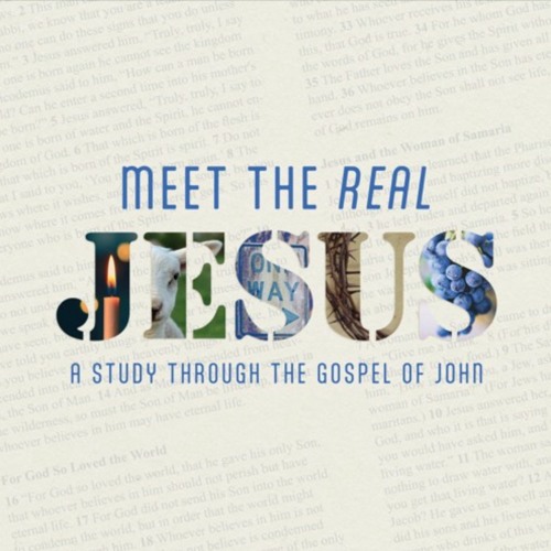 Listen to music albums featuring The Gospel of John: Meet the Real ...