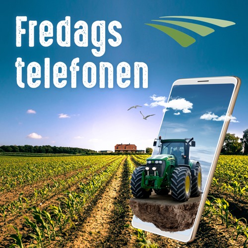 Stream episode Fredagstelefonen 2024 - Uge 37: TAG DE RIGTIGE KARTOFLER ...