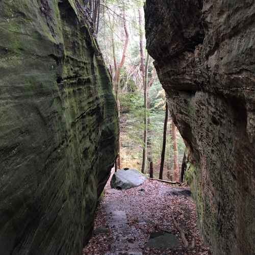 Stream Modern Jesus – Cover by Adam Delaney | Listen online for free on ...