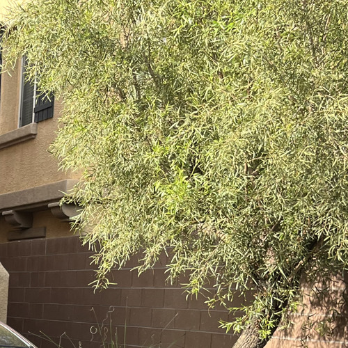 Stream timess3 by Zithrow | Listen online for free on SoundCloud