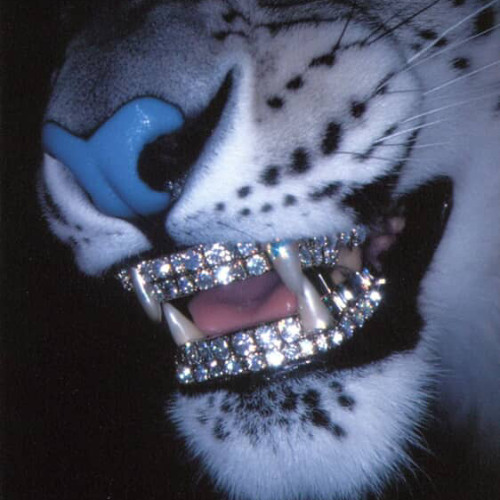 TOBEHONEST @ Radius Chicago, United States 2025-12-27