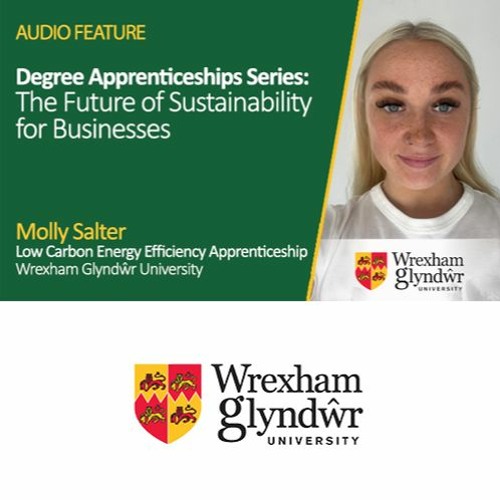 Stream Degree Apprenticeships: The Future of Sustainability for ...