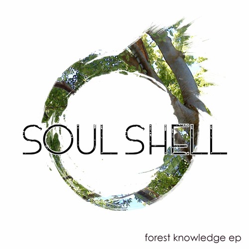Stream Reasons by Soul Shell | Listen online for free on SoundCloud