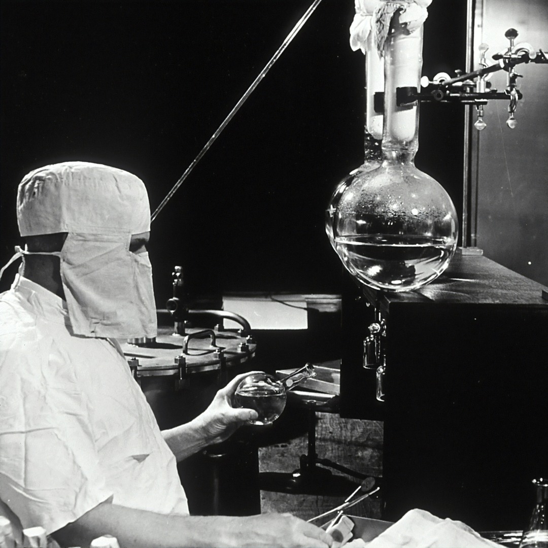 Stream BLUNT + Punk Rock = Mix by Digital_Yanbra | Listen online for ...