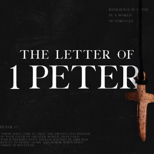 Stream May 4 | A Holy Life by Browncroft Community Church | Listen ...